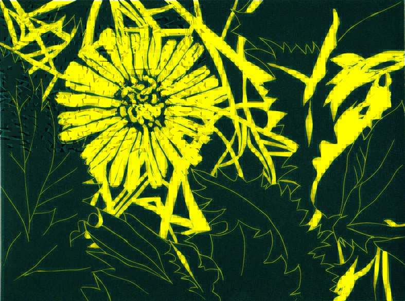 Beverley Matchette-Downes - Bespoke Framing