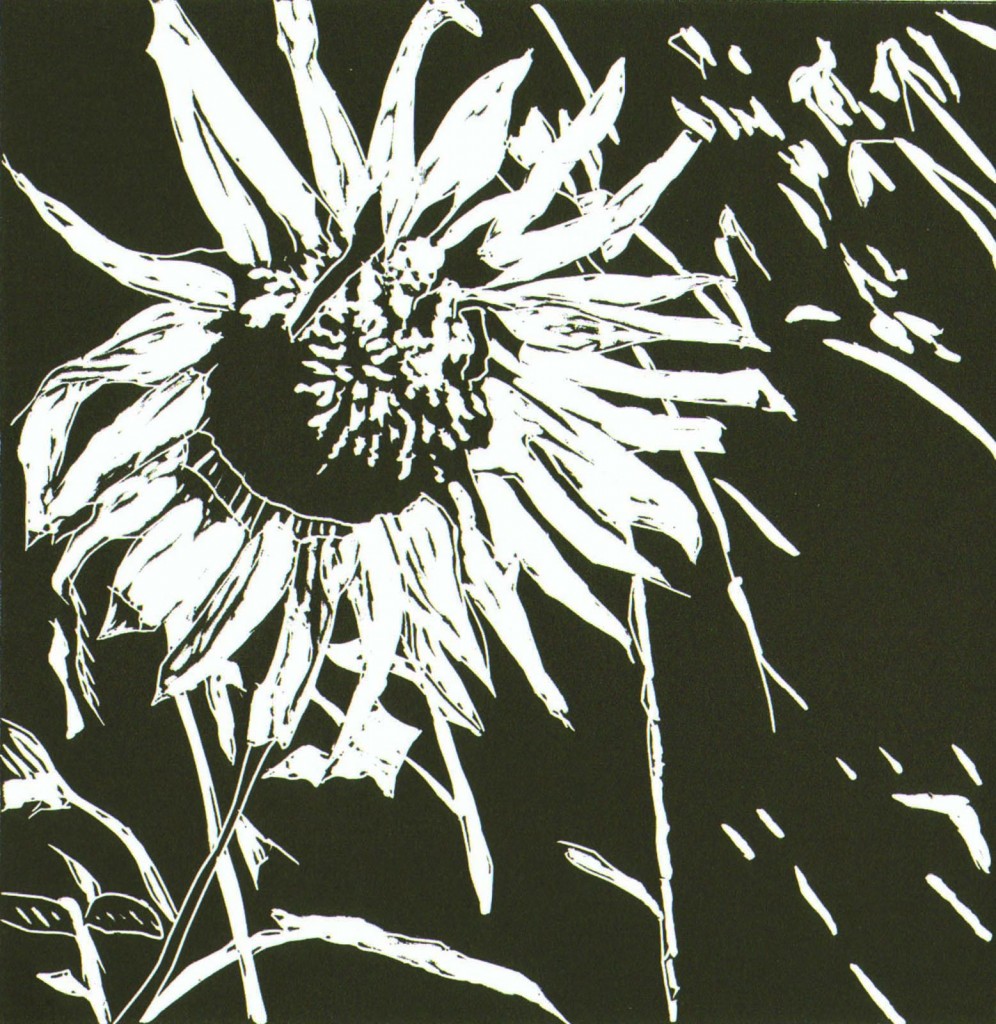 Beverley Matchette-Downes - Bespoke Framing